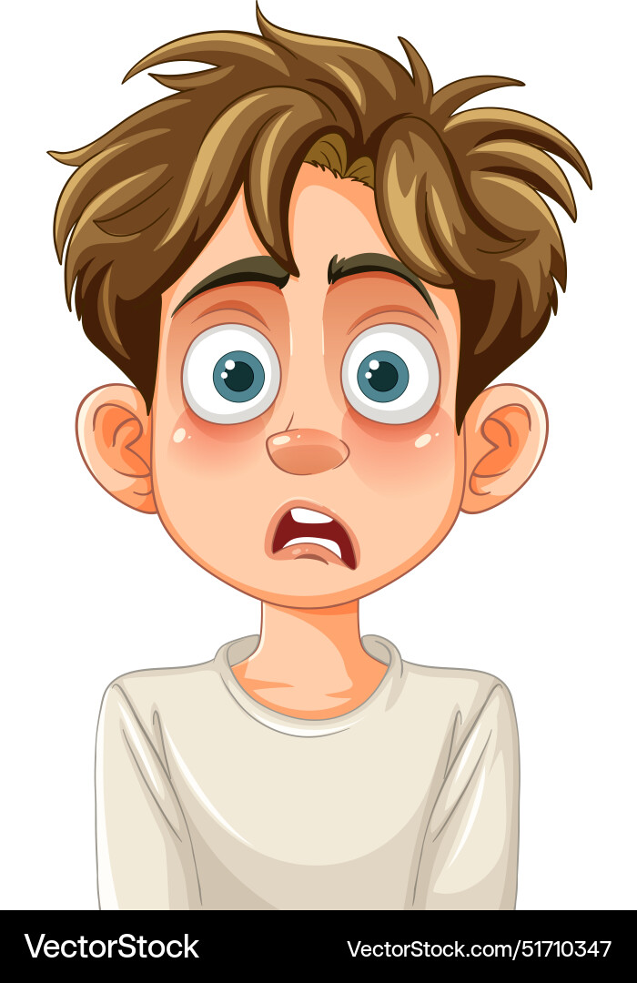A boy with a shocked expression Royalty Free Vector Image