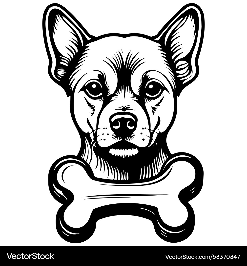 Sketches dog bone hand drawn line Royalty Free Vector Image