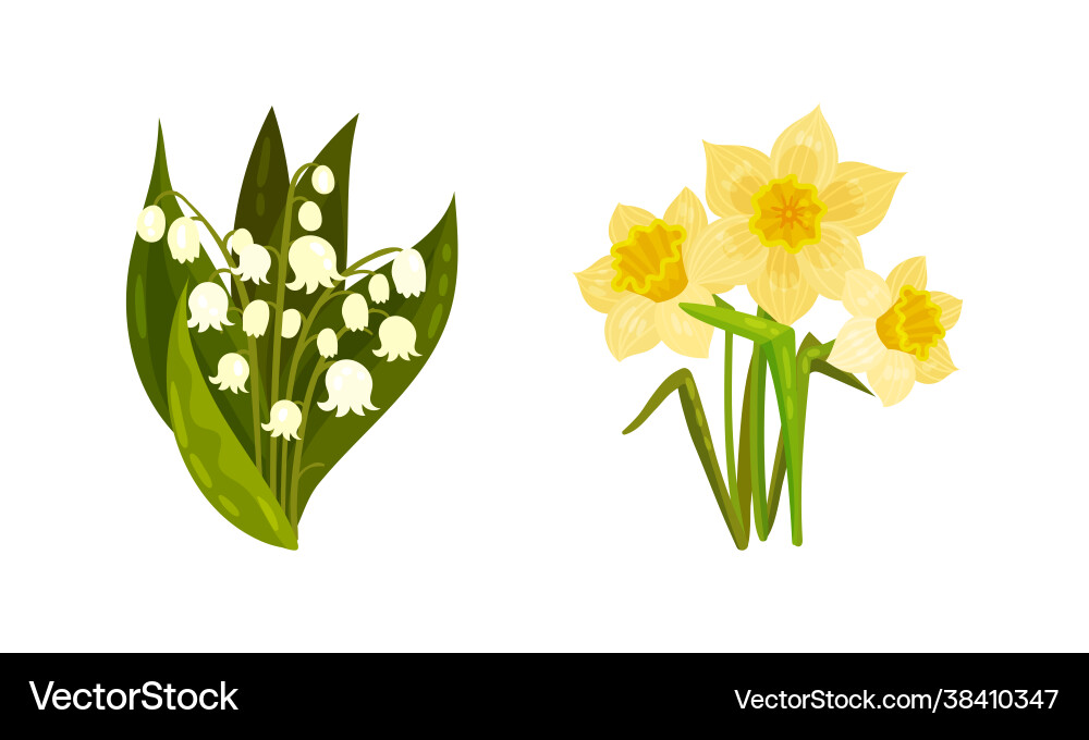 Spring flowers on green stem as seasonal botany Vector Image