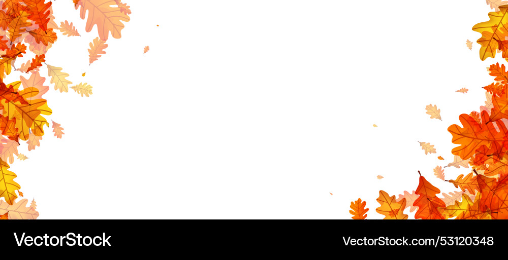 Autumn oak leaves corner border Royalty Free Vector Image