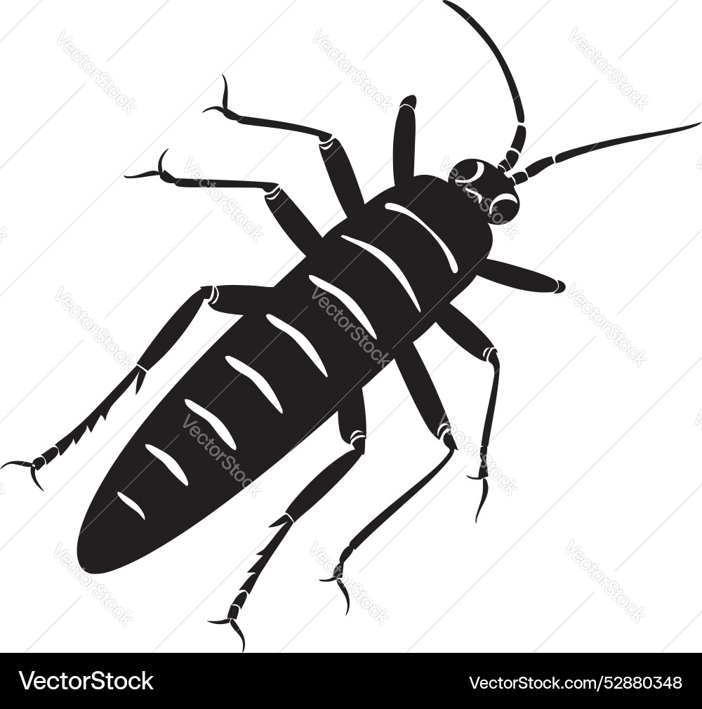 Beauty in the deep silverstream elegance elegant Vector Image