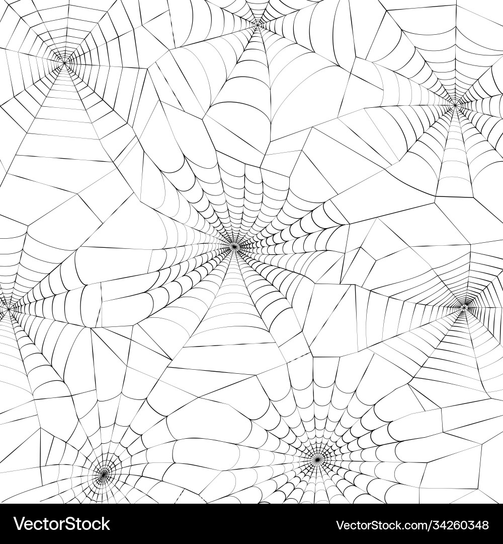Spider web concept Royalty Free Vector Image - VectorStock