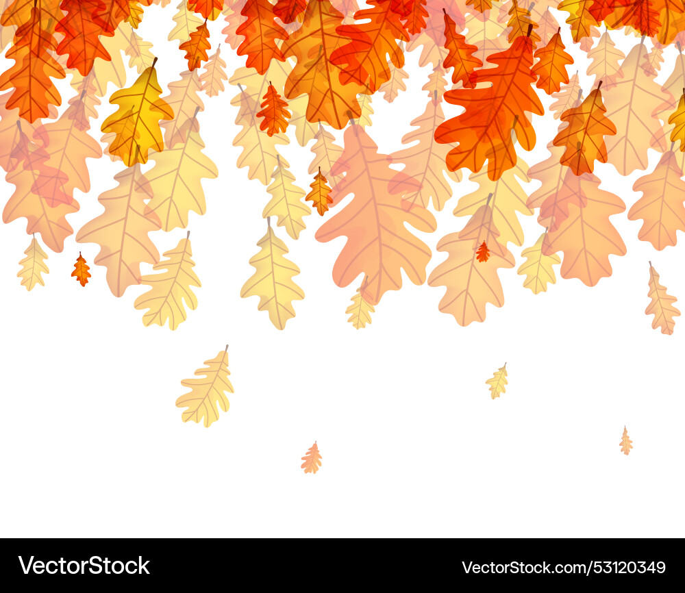 Falling autumn oak leaves Royalty Free Vector Image