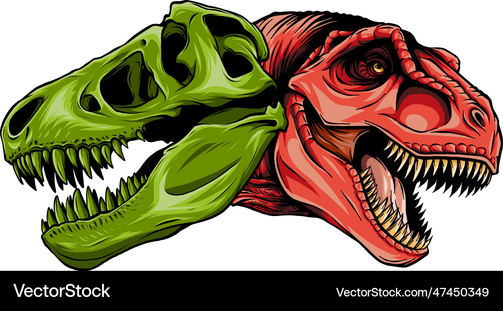 Tyrannosaurus rex Royalty Free Vector Image - VectorStock