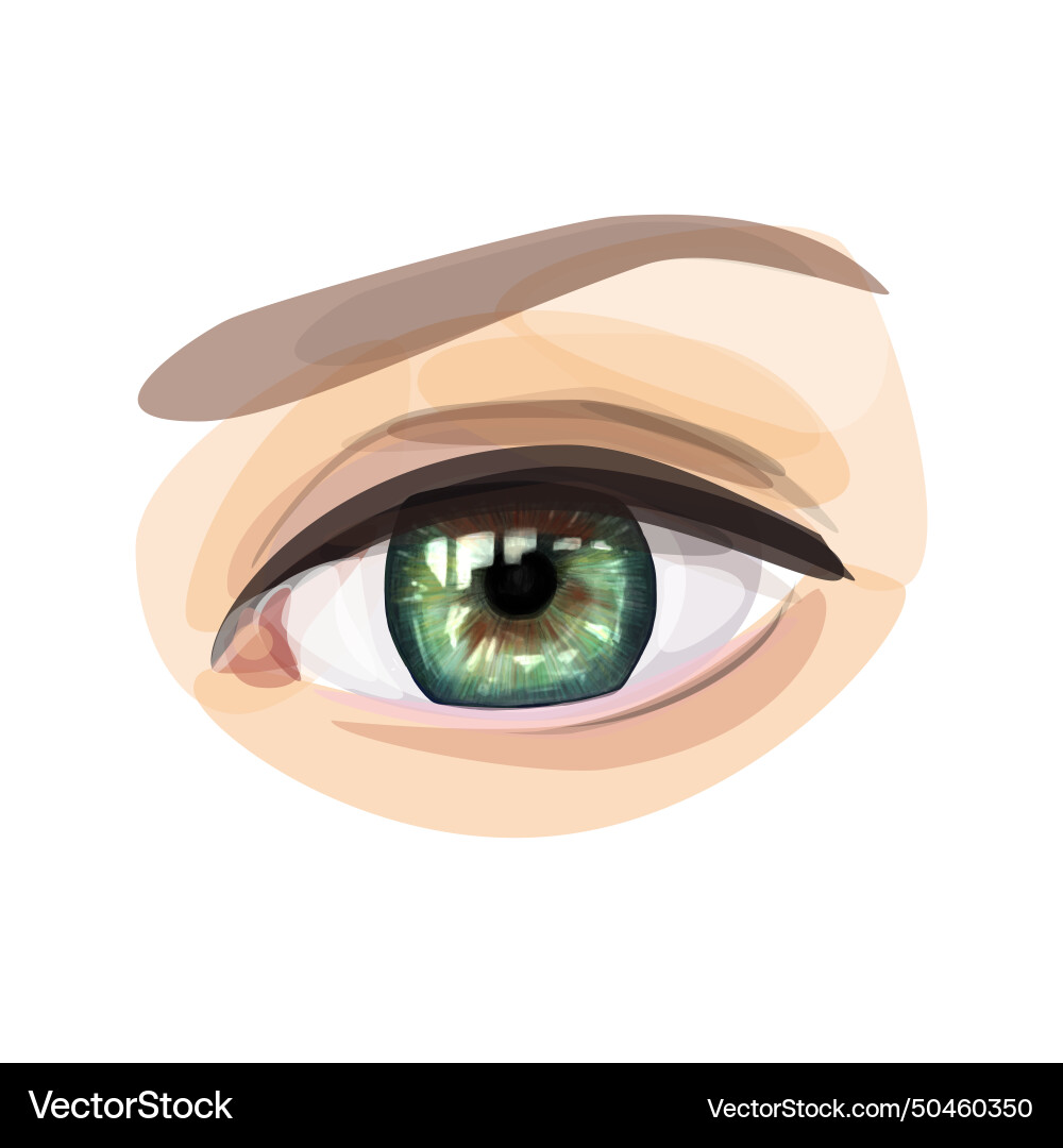 Eye Royalty Free Vector Image - VectorStock
