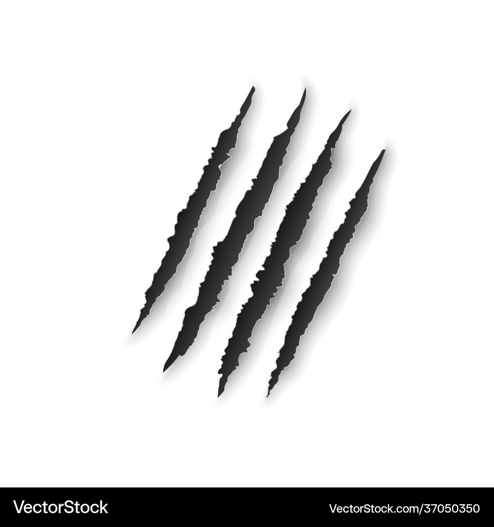 Jagged Bear Claw Marks Royalty Free Vector Image