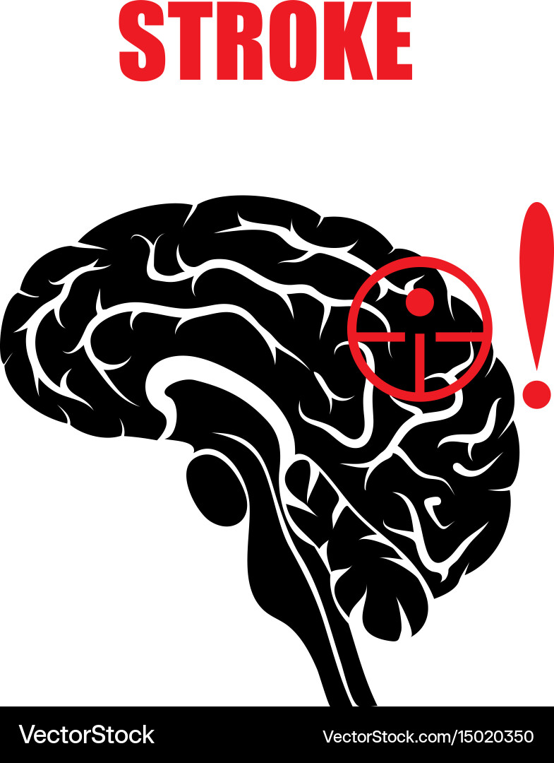 Stroke Royalty Free Vector Image - VectorStock