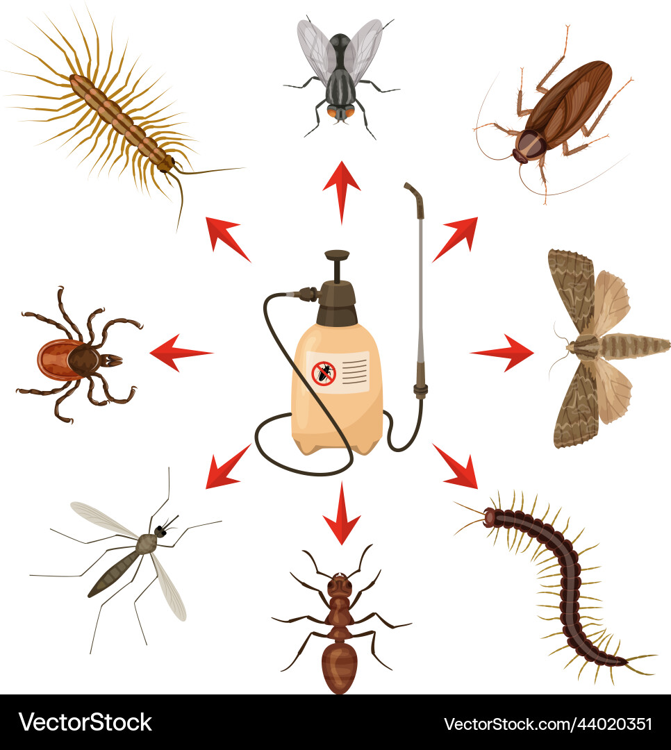 Harmful insects cartoon infographic Royalty Free Vector