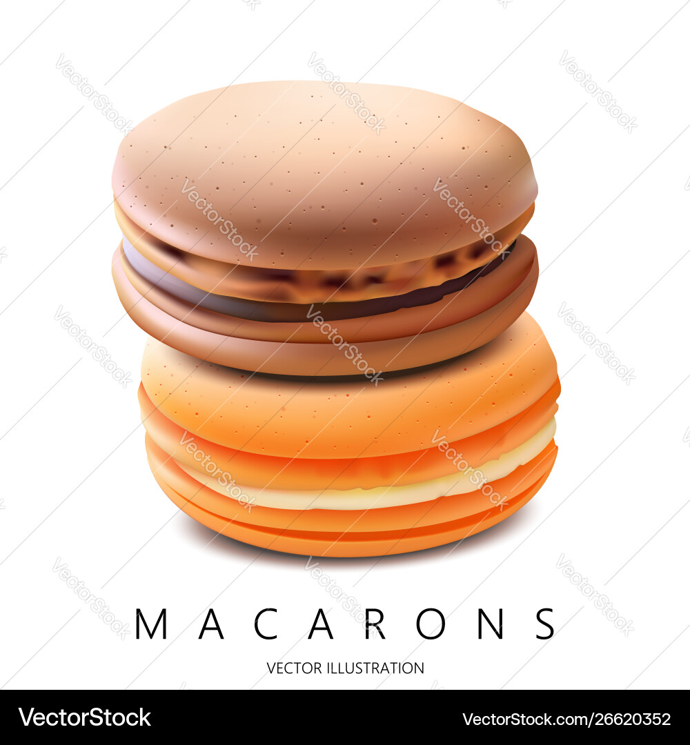 Macarons Royalty Free Vector Image - VectorStock