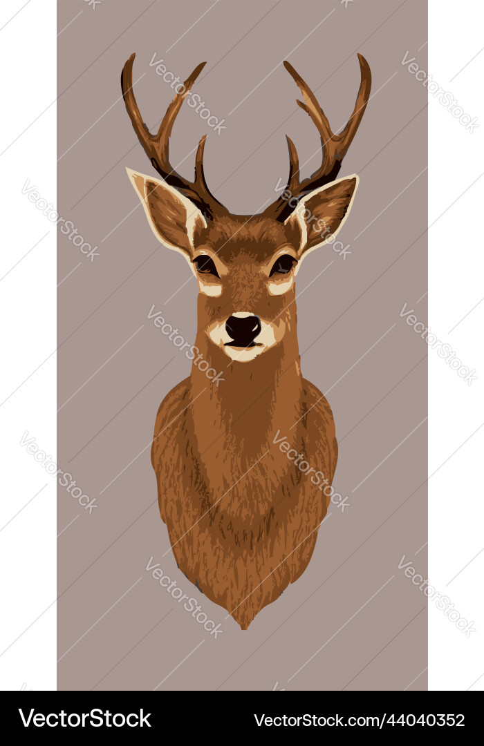 Wild deer portrait Royalty Free Vector Image - VectorStock