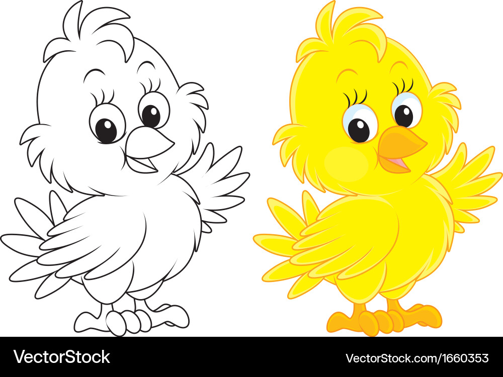 Chick Royalty Free Vector Image - VectorStock