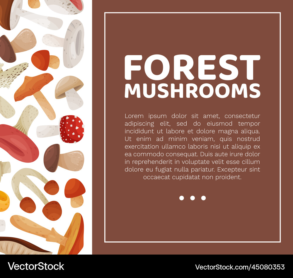 Mushroom banner design with edible agaric forest Vector Image