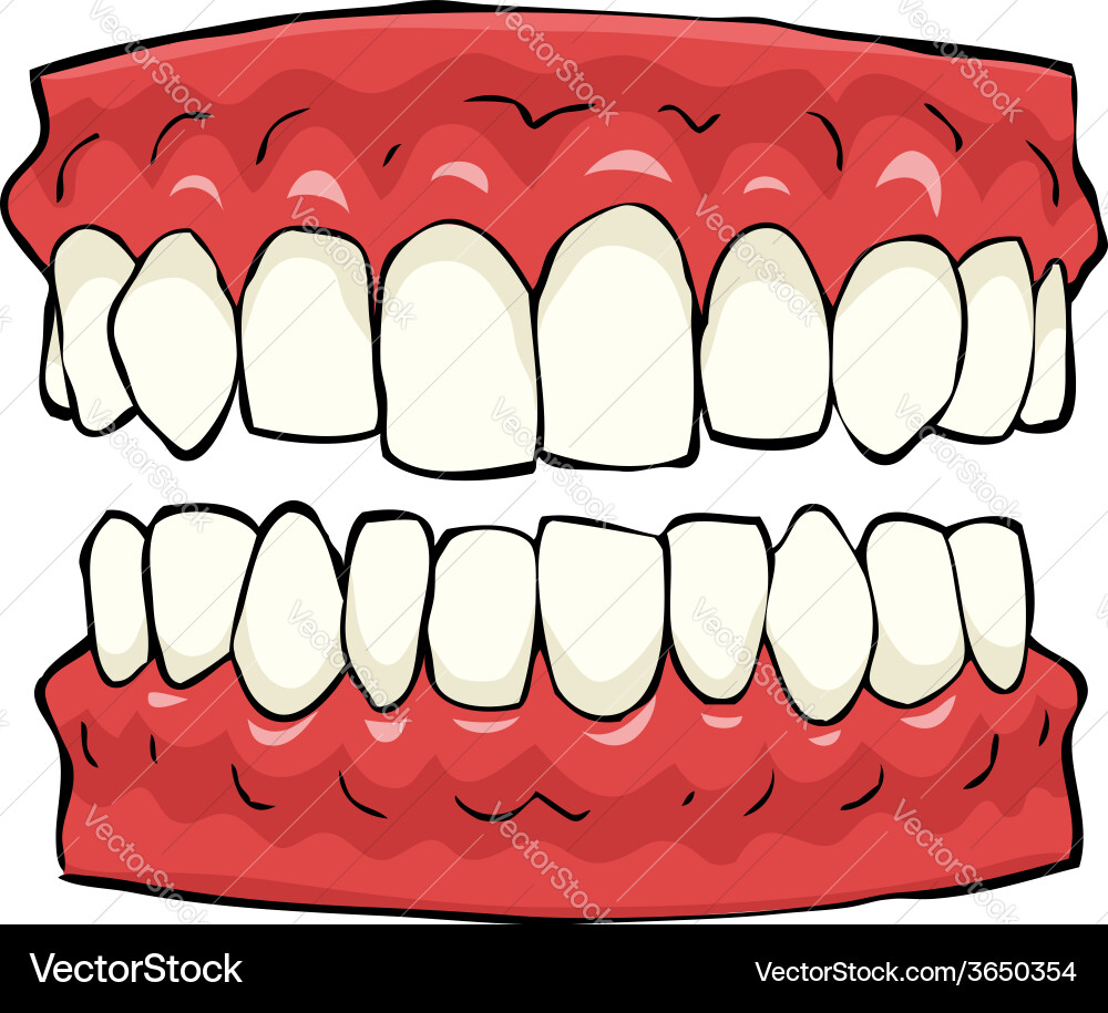 False Teeth Cartoons