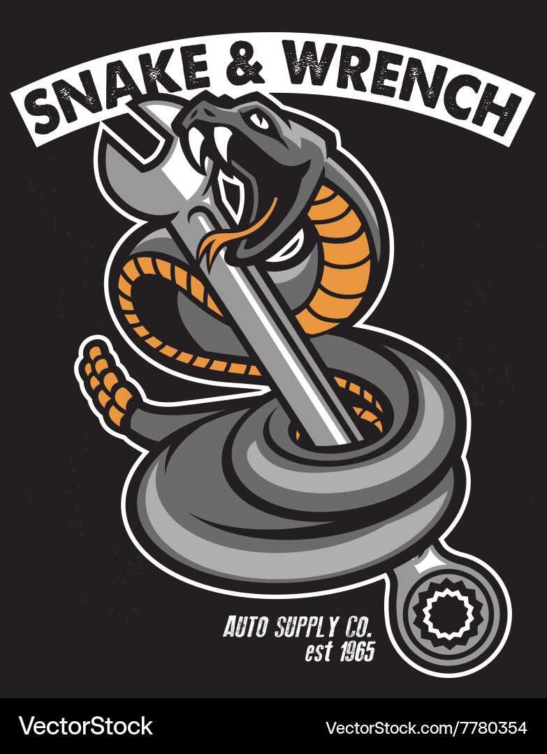 Two Headed Snake Vector Images (57)