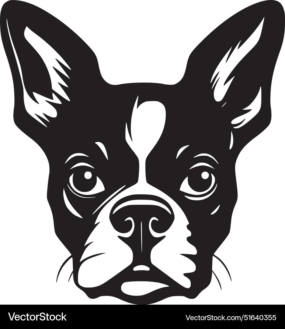 Boston terrier - minimalist and flat logo Vector Image