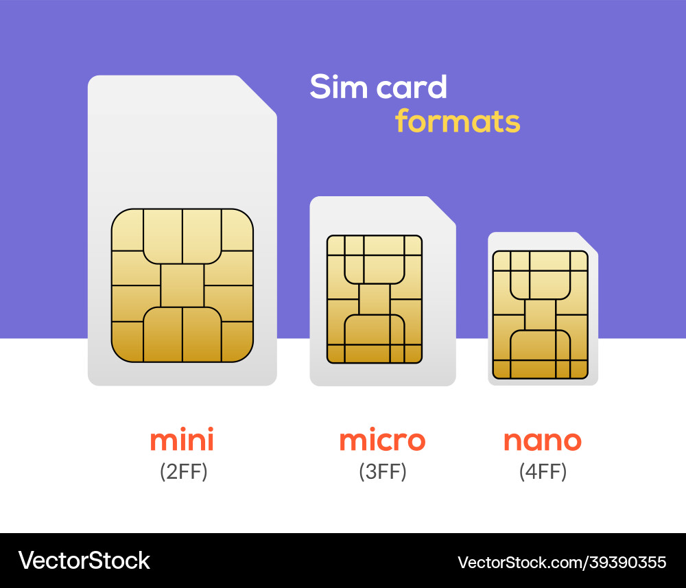 Sim card nano chip micro simcard isolated mini Vector Image