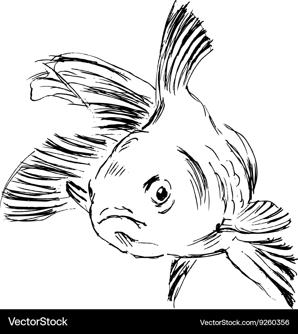 Hand sketch fish Royalty Free Vector Image - VectorStock