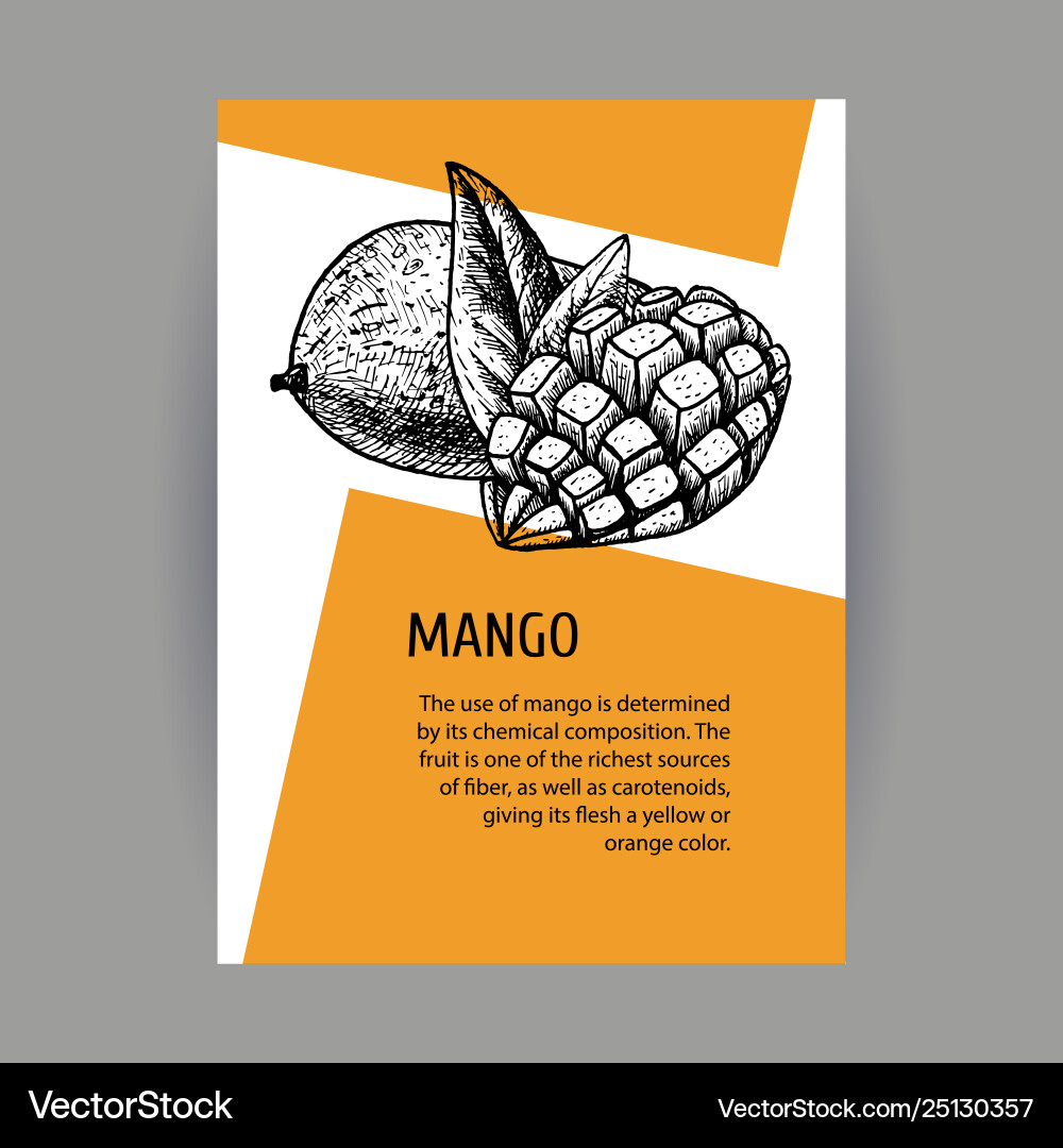 Banners with mango black-white design fruit Vector Image