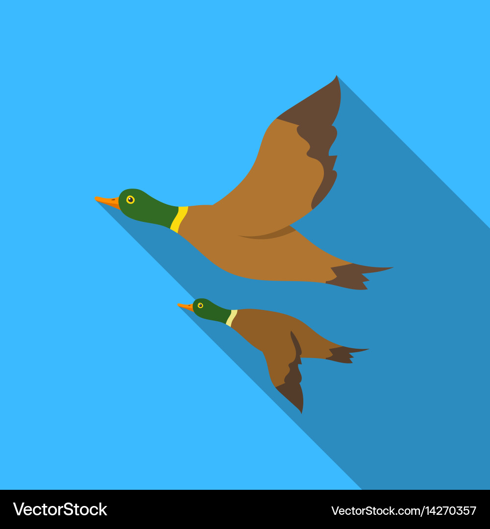Ducks icon in flat style isolated on white Vector Image