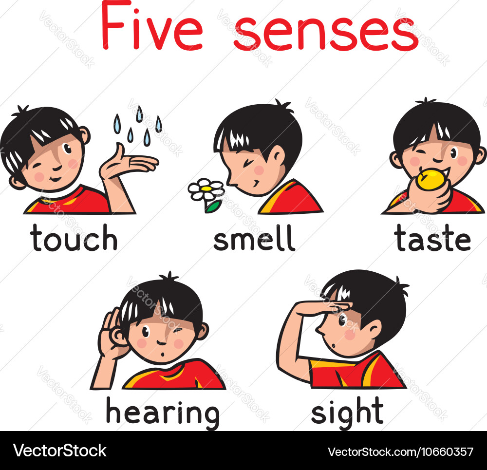 Five senses icon set Royalty Free Vector Image