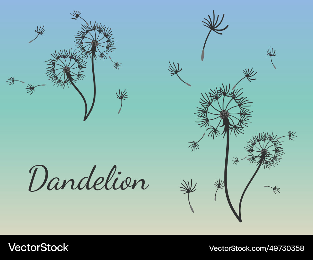 Abstract dandelion background design great Vector Image