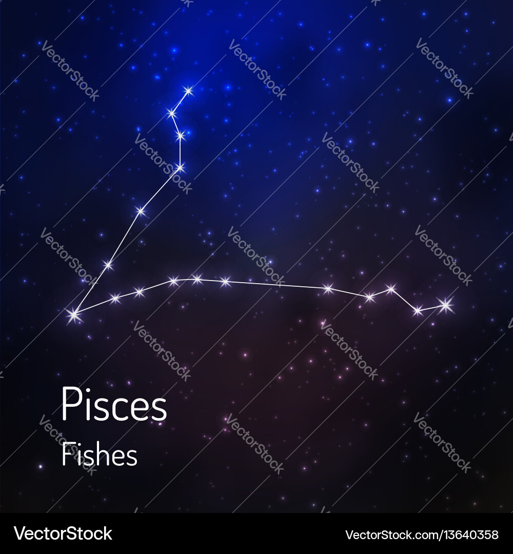 Constellation in the night starry sky Royalty Free Vector