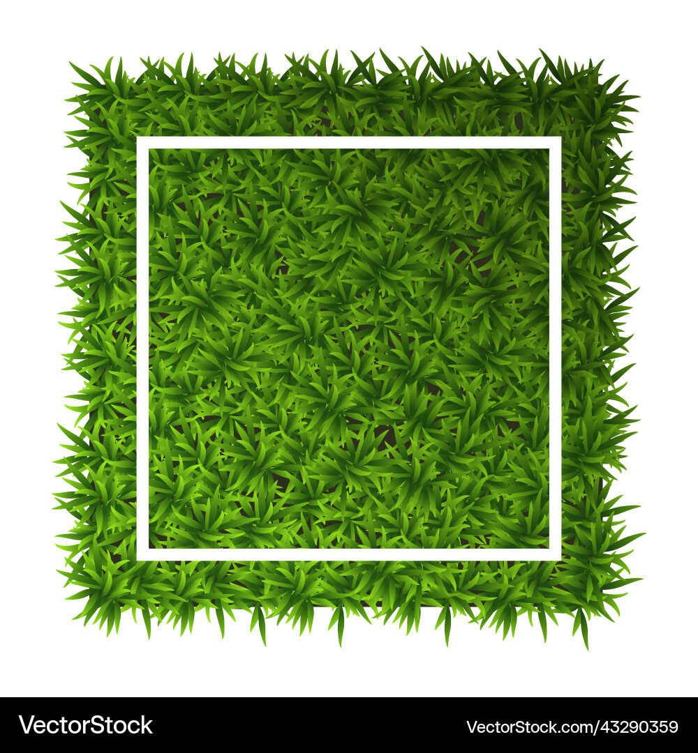 Green grass square ground cover plants background Vector Image