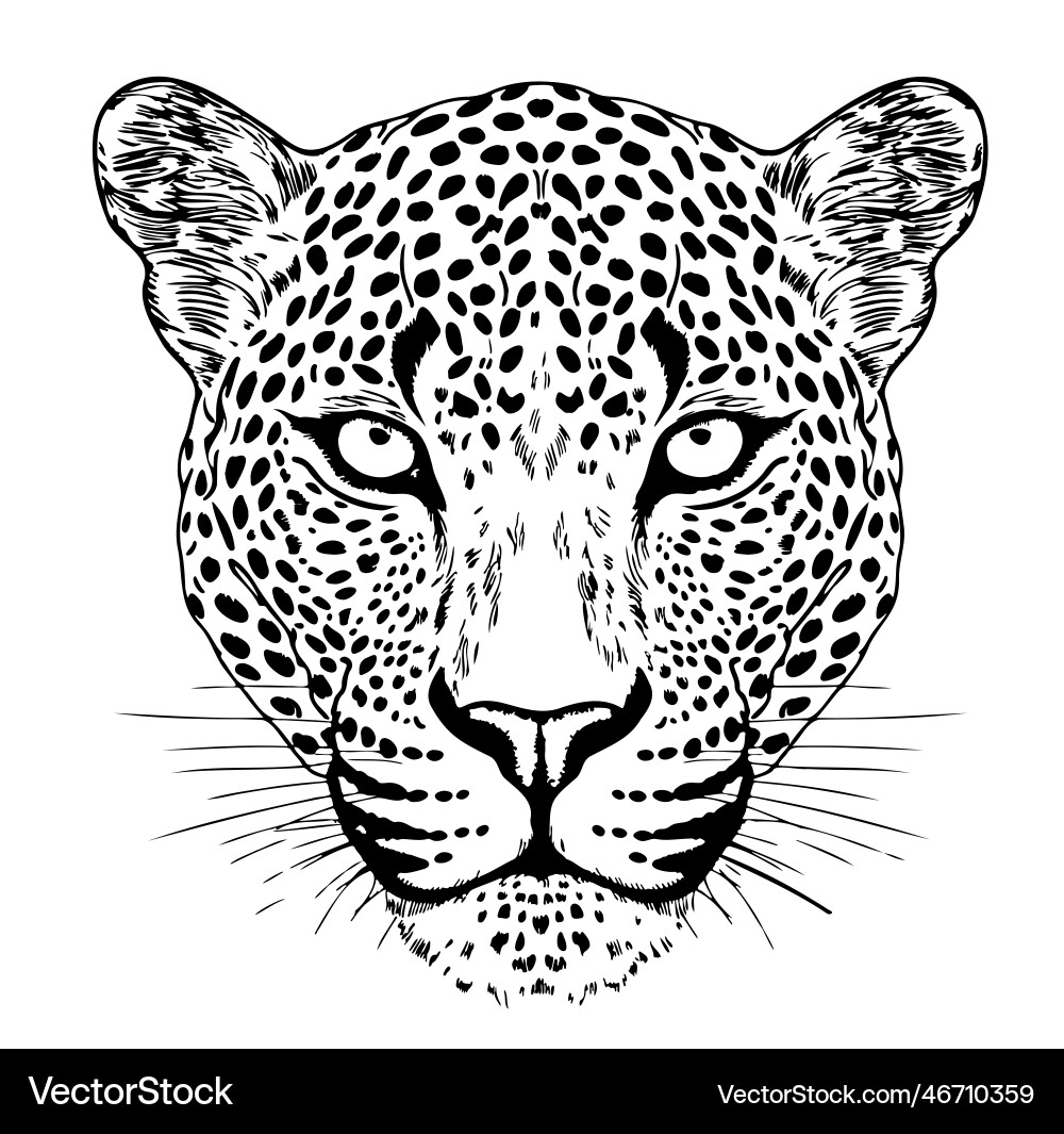 Leopard face hand drawn sketch Royalty Free Vector Image
