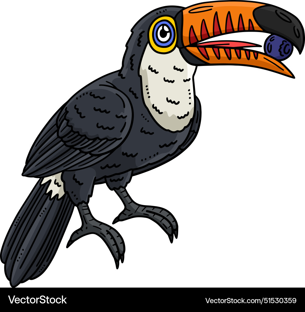 Tucan bird cartoon colored clipart Royalty Free Vector Image