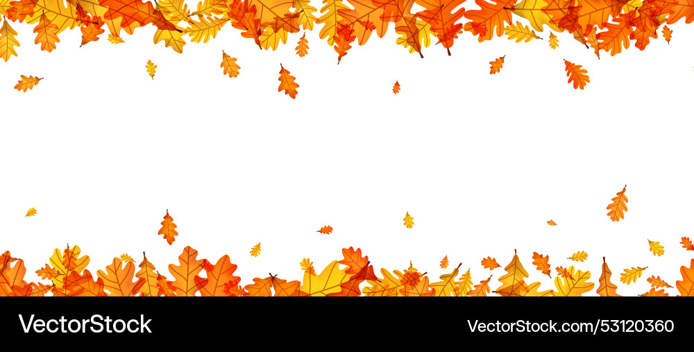 Autumn oak leaves top and bottom border Royalty Free Vector