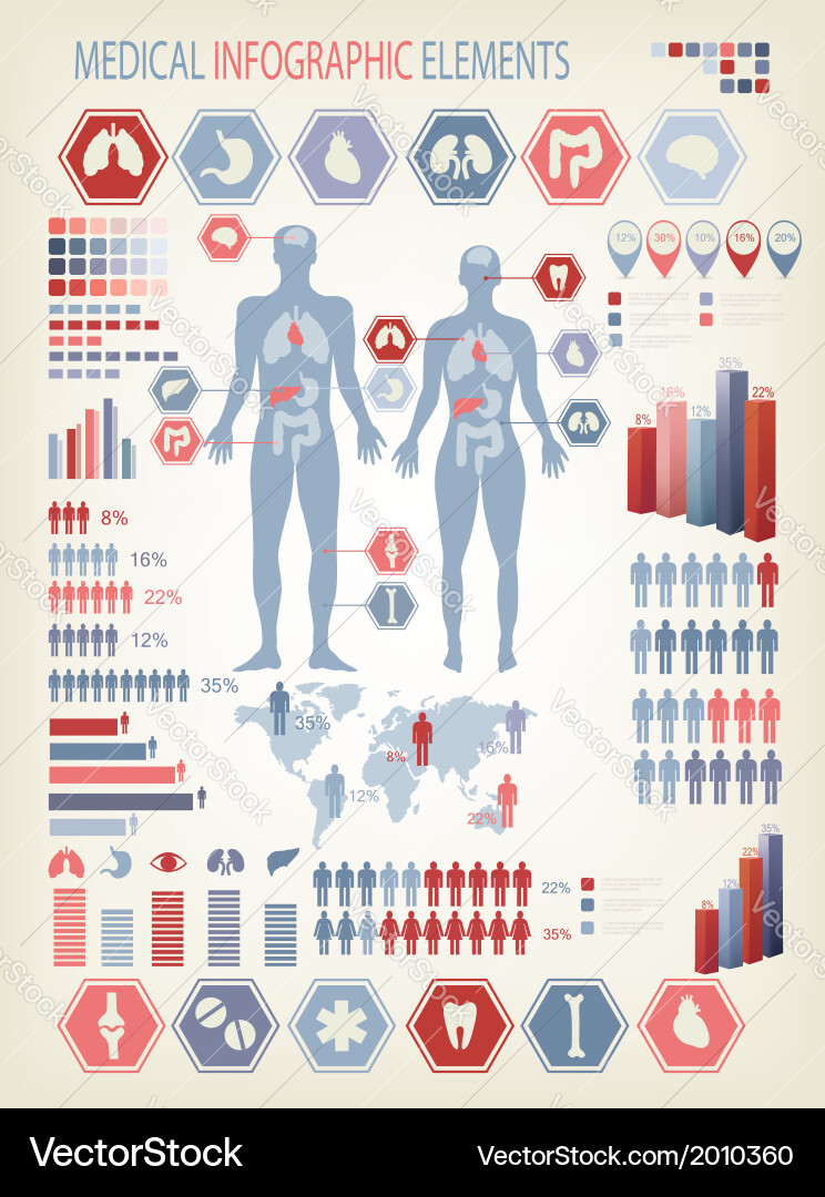 Medical infographics elements human body Vector Image