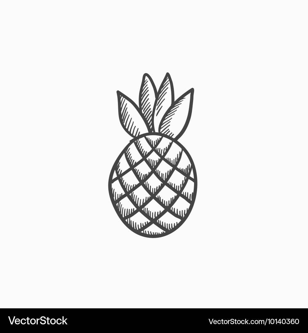 Pineapple sketch icon Royalty Free Vector Image