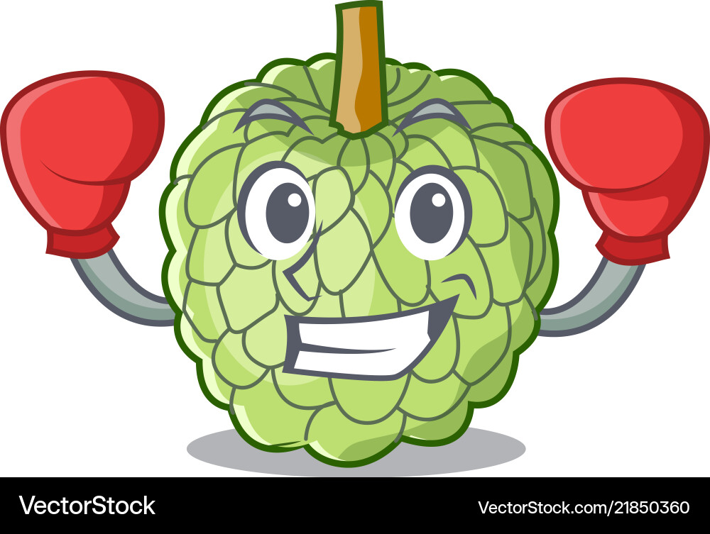 Sugar Apple Fruit Boxing Cartoon Royalty Free Vector Image