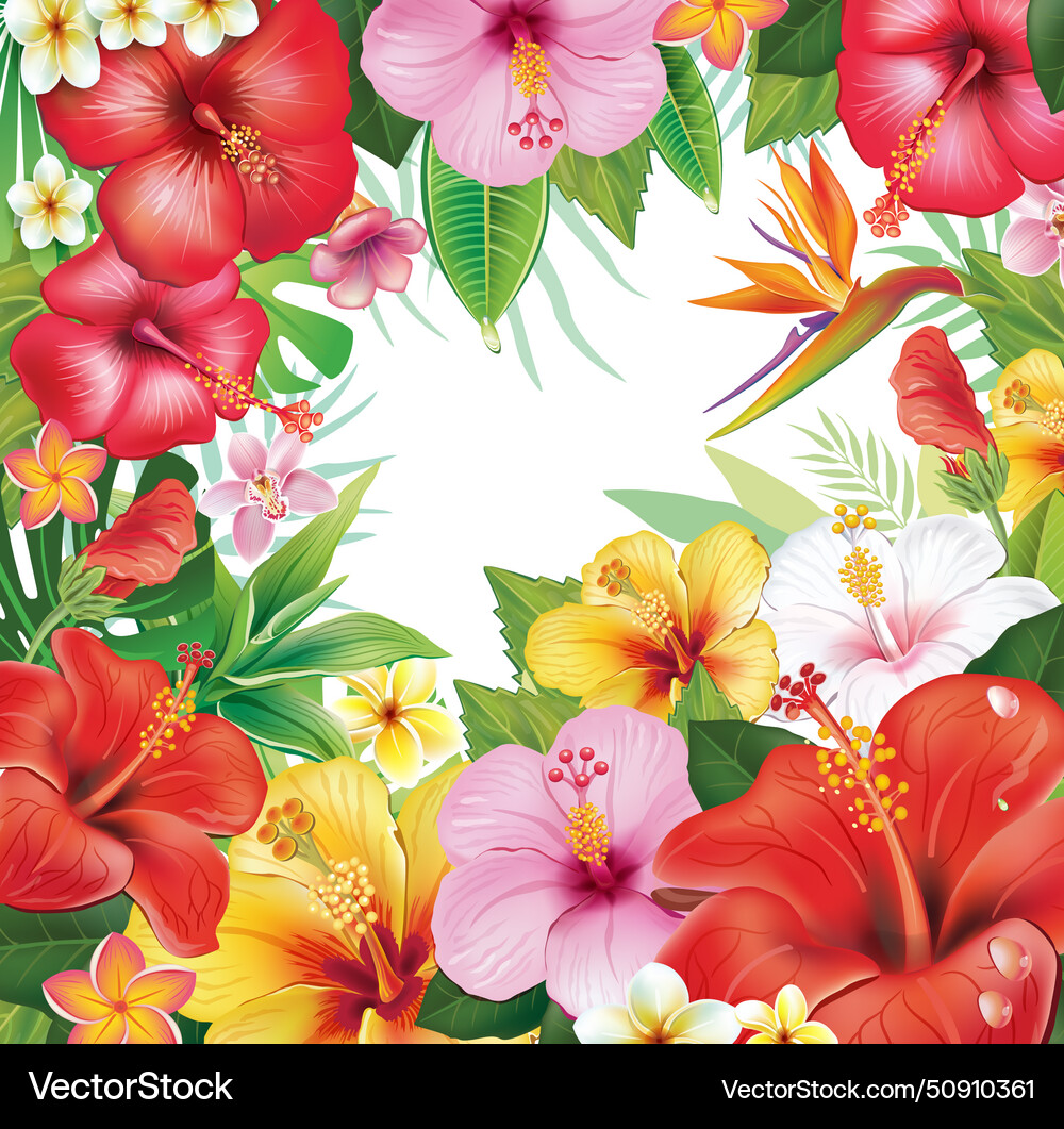 Vector Hibiscus Flower Free Hibiscus Vector Art