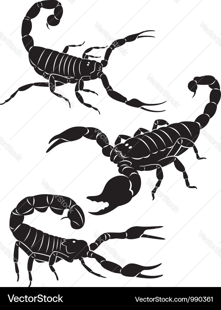 Scorpio Royalty Free Vector Image - VectorStock