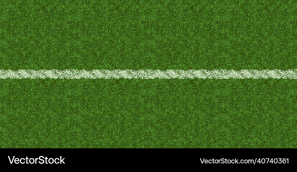 Soccer field texture top view lawn background Vector Image