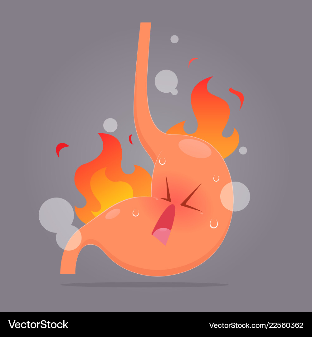 From acid reflux or heartburn cartoon Royalty Free Vector