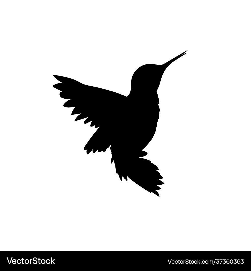 Hummingbird black icon small exotic bird Vector Image