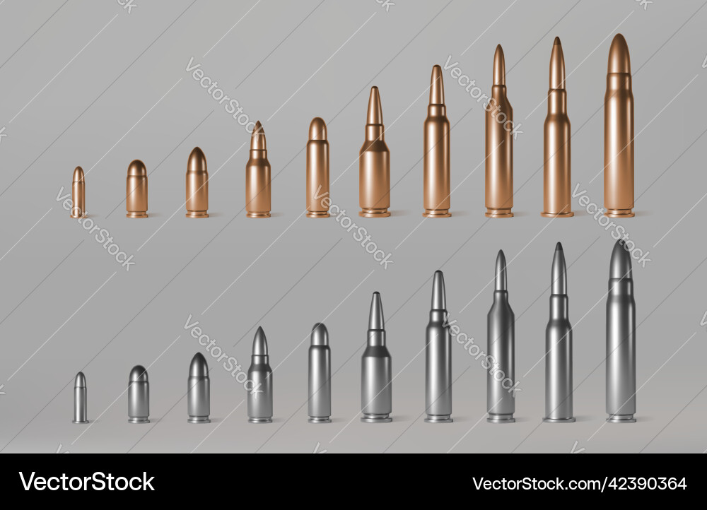 Bullets of different calibers stand in row Vector Image
