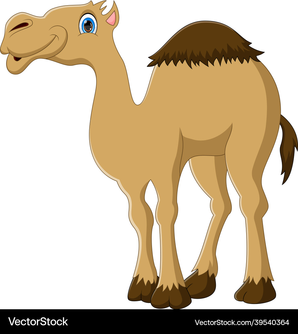 Cute camel cartoon posing smiling Royalty Free Vector Image