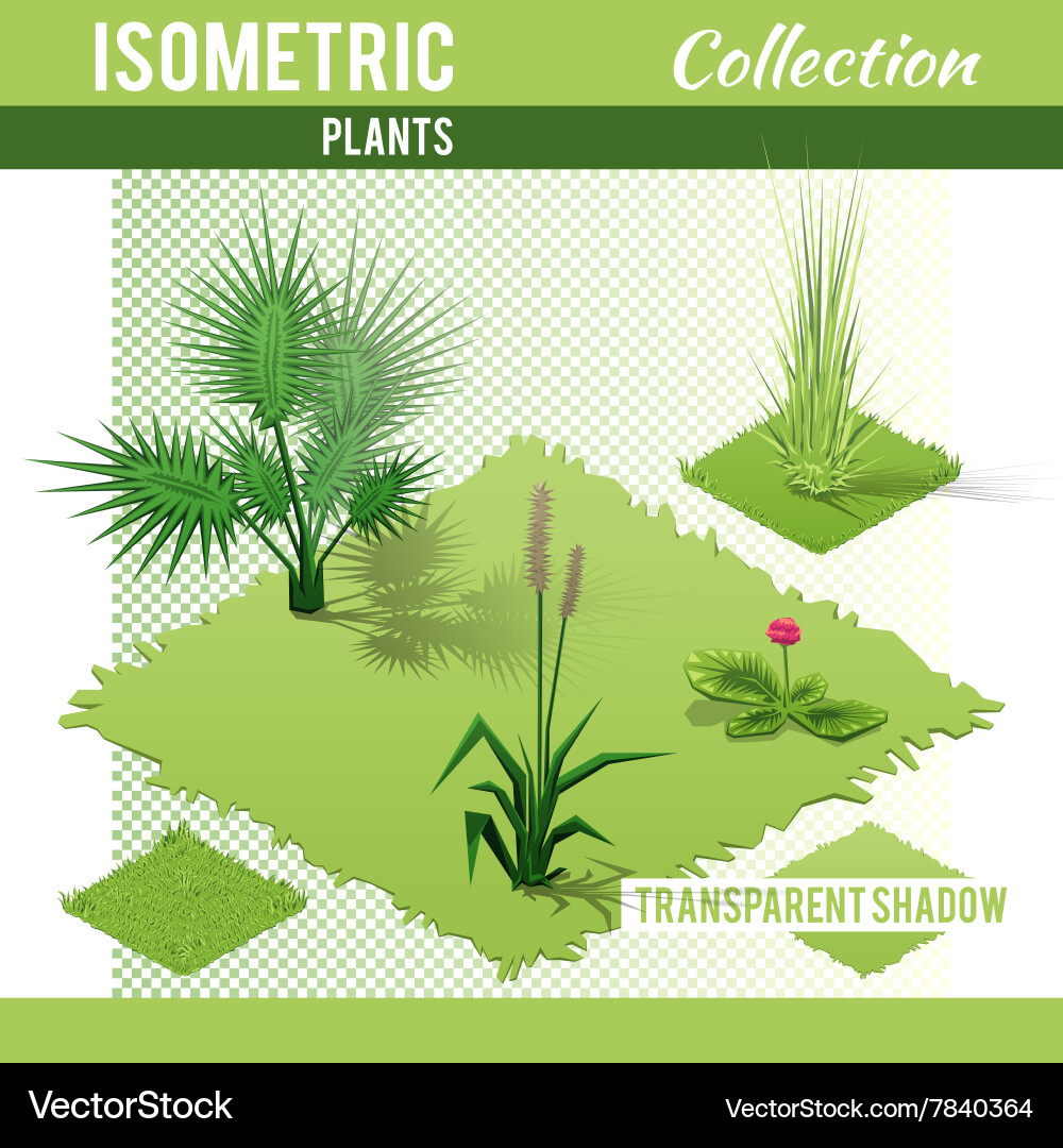 Isometric plants collection Royalty Free Vector Image