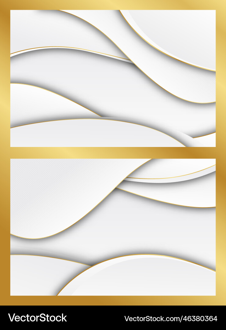 White luxury background with golden curve line Vector Image