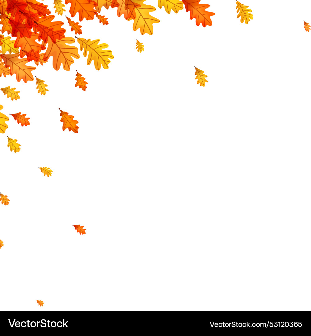 Autumn oak leaves corner design Royalty Free Vector Image