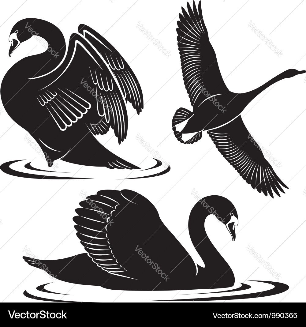 Bird Royalty Free Vector Image - VectorStock