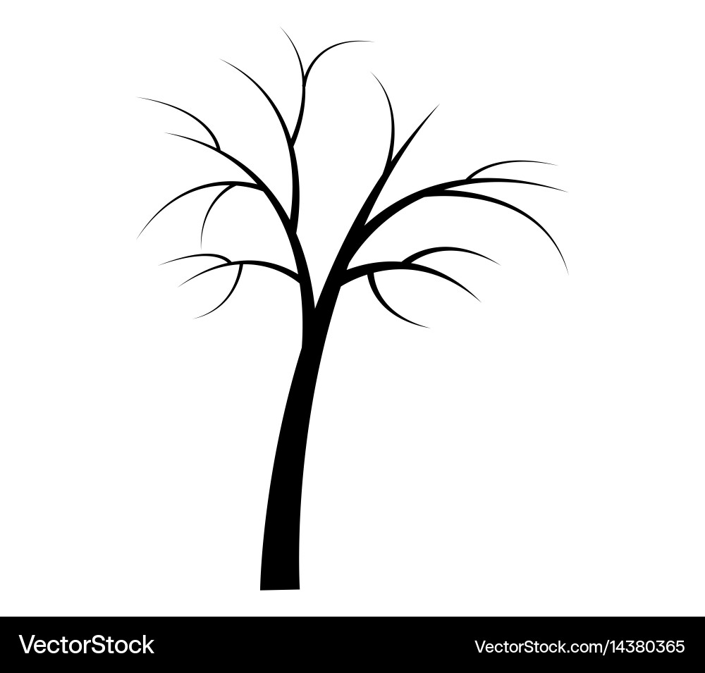 Dry tree Royalty Free Vector Image - VectorStock