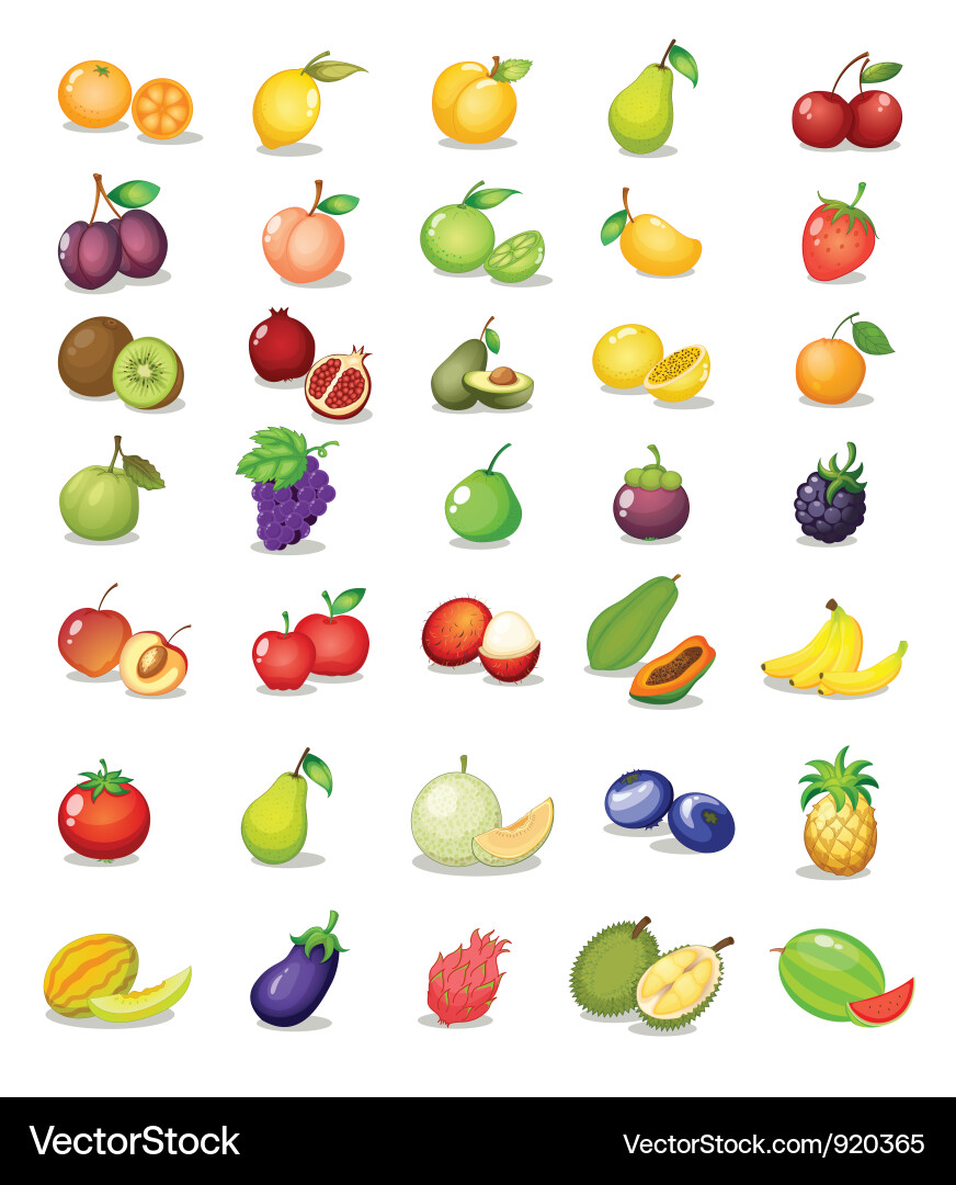 Fruit Vector Images (over 860,000)