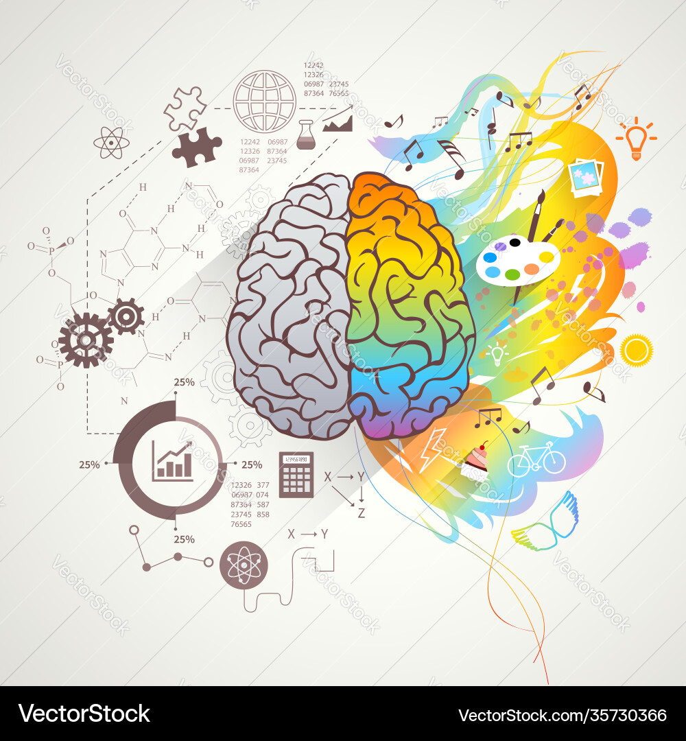 Left right brain concept Royalty Free Vector Image