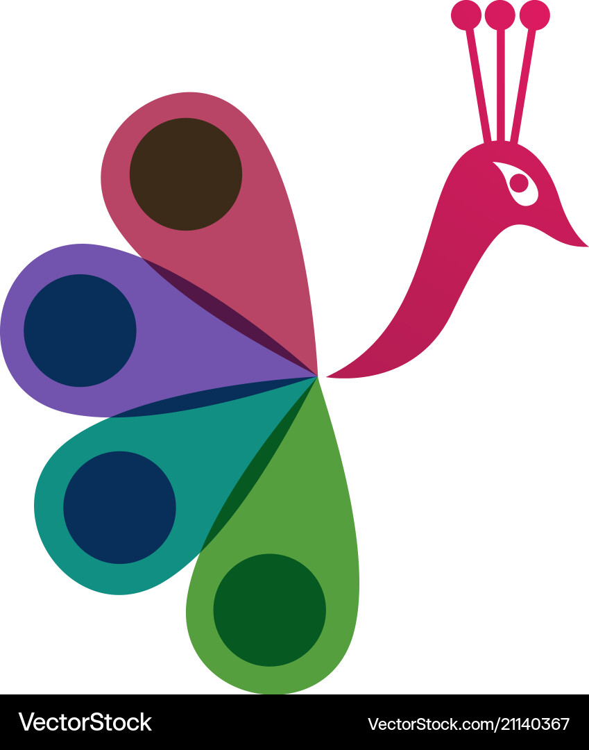 Hummingbird logo and symbols iconstemplate app Vector Image
