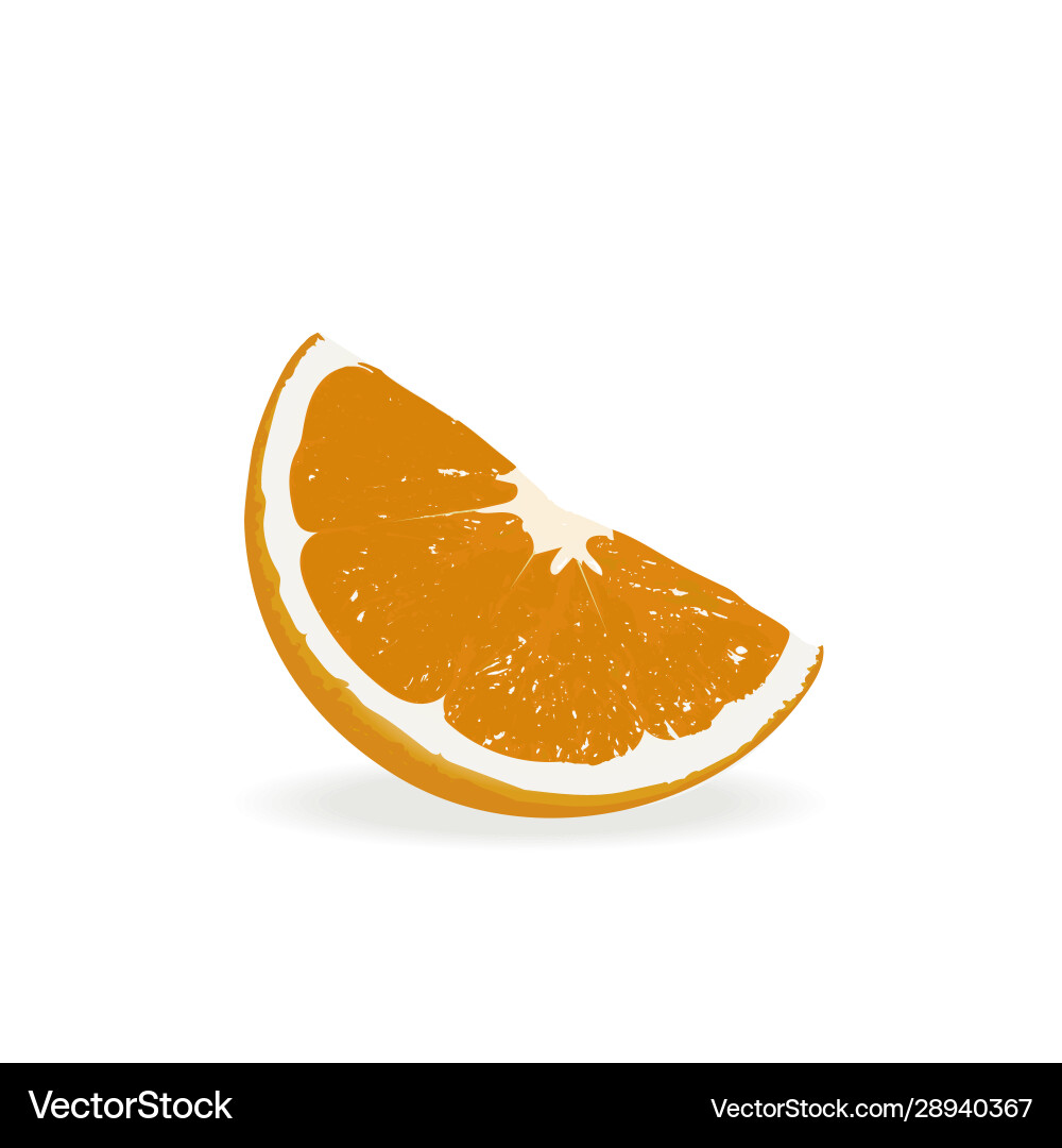 Orange fruit slice on white Royalty Free Vector Image