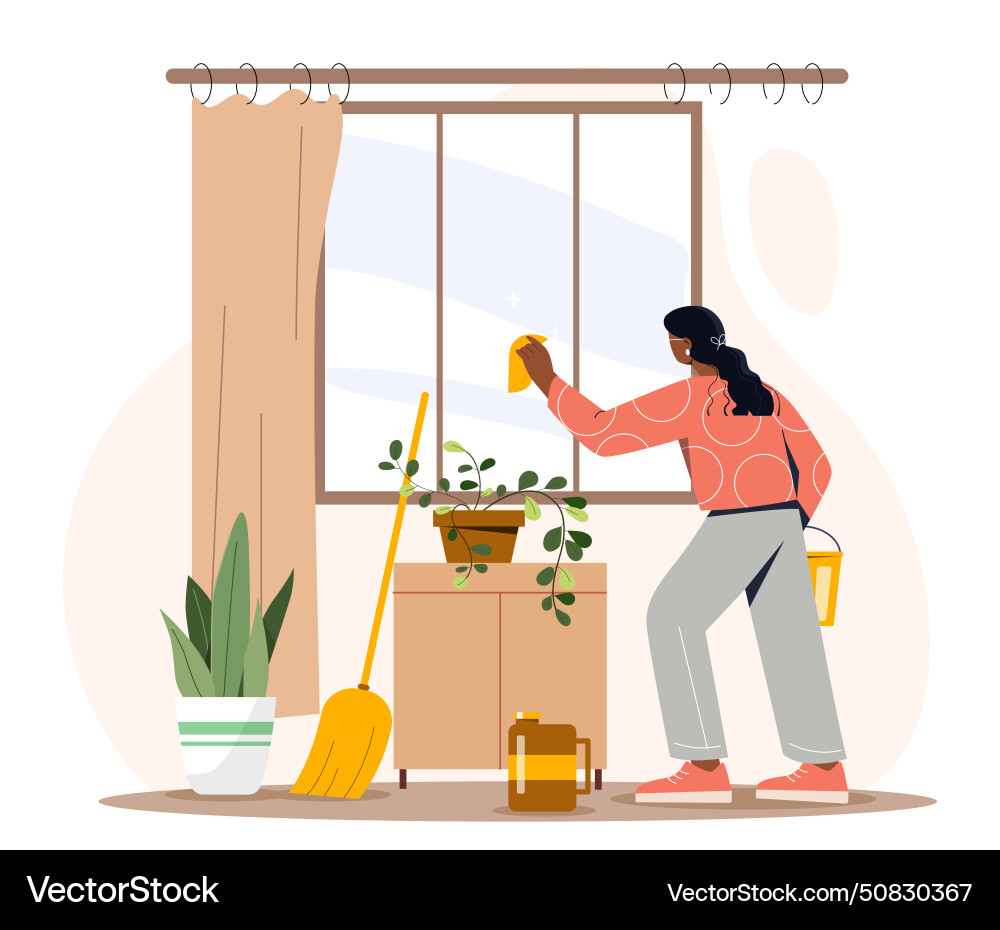Window washing woman concept Royalty Free Vector Image